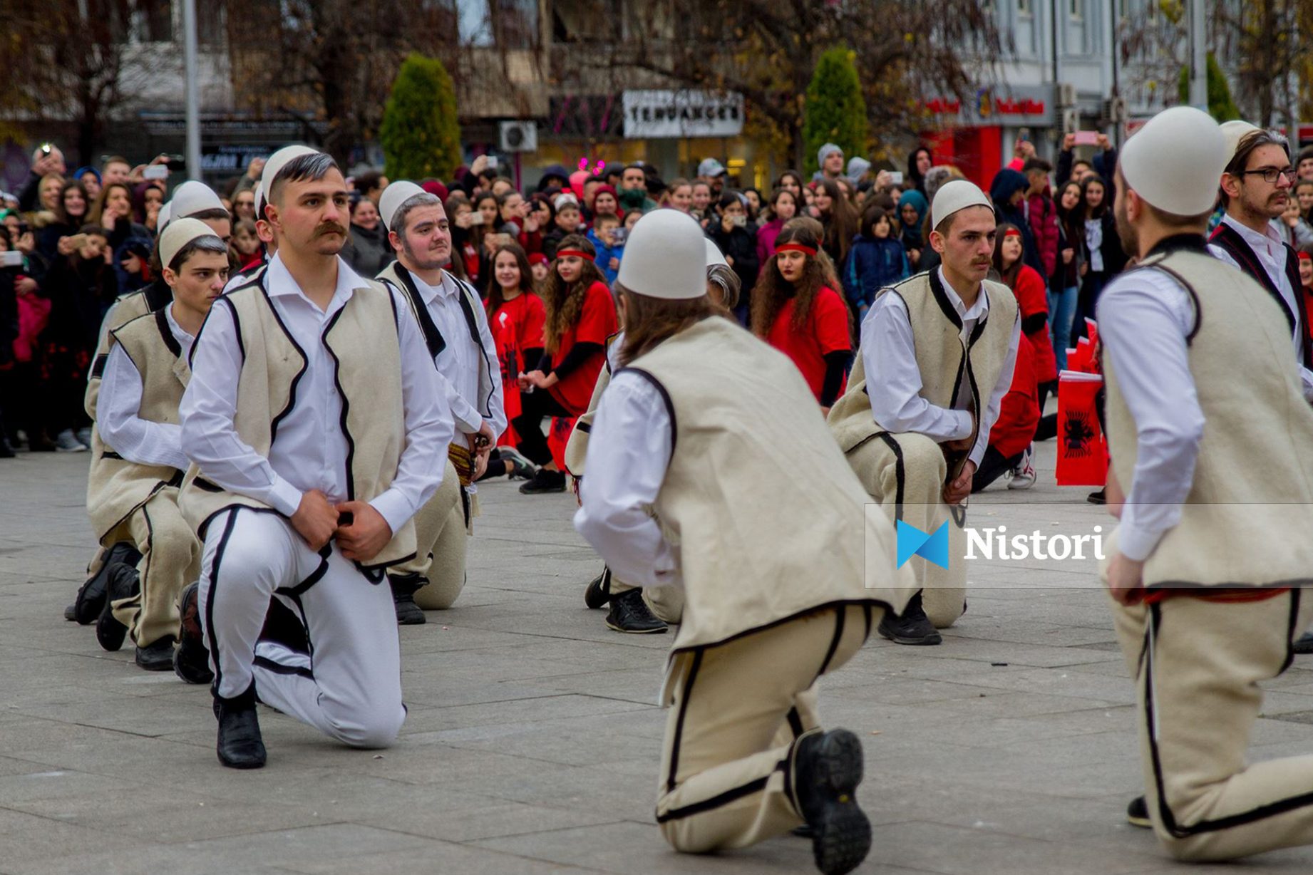 Historia e plisit: simbol i identiteti kombëtar – Nistori