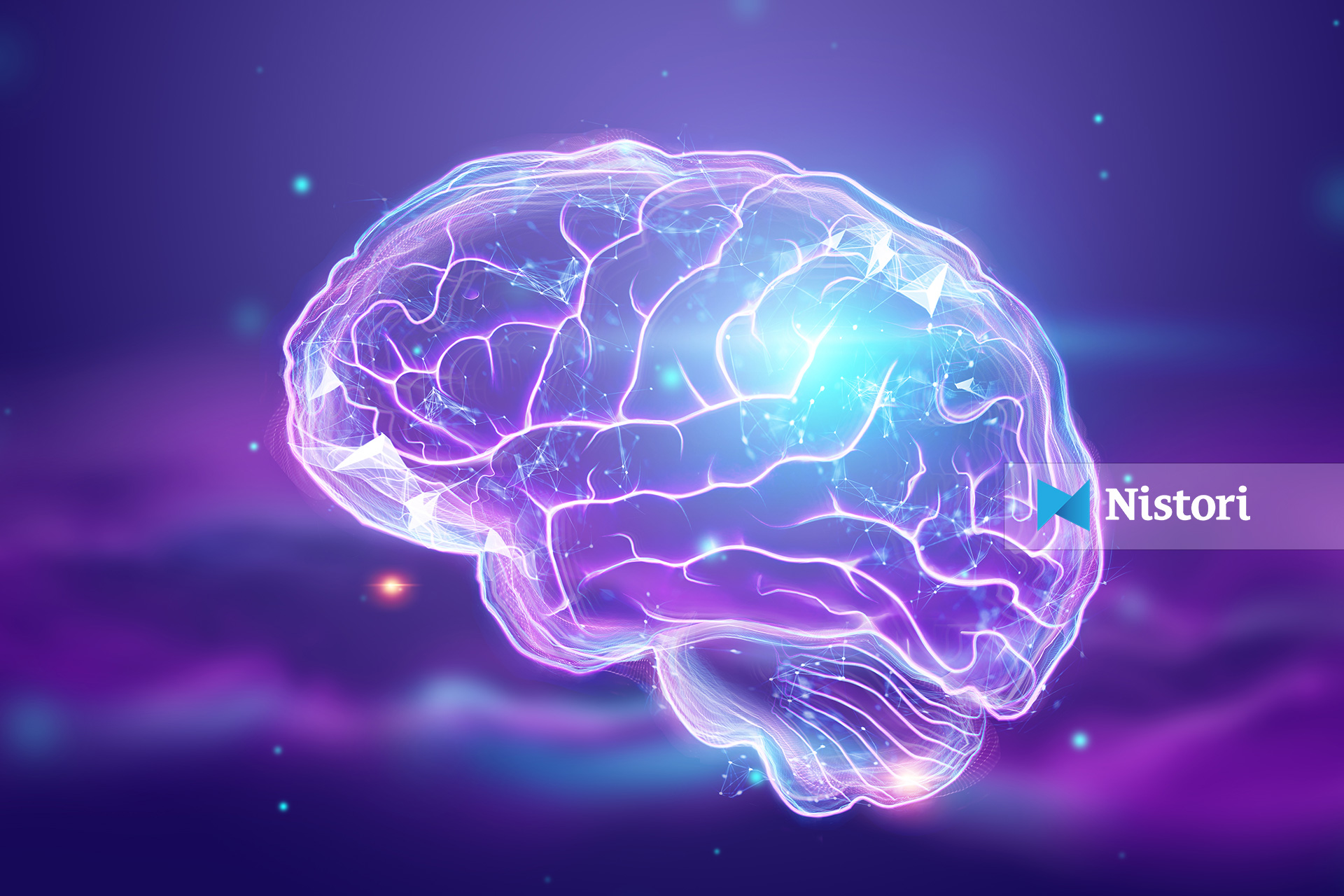 Çfarë i bën kolesteroli trurit – Nistori