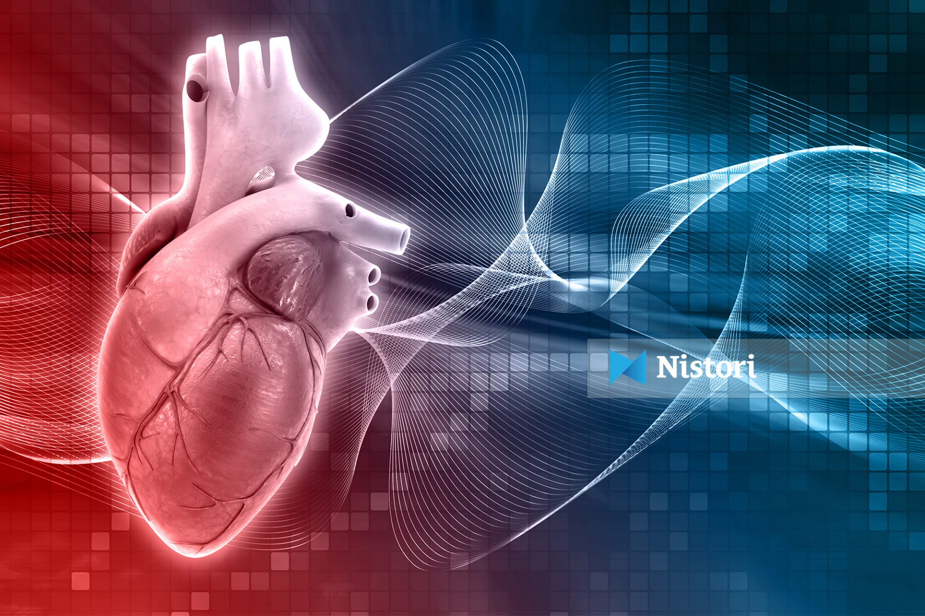 ‘Gjeniu është 1 për qind inspirim dhe 99 për qind djersë’ – Nistori