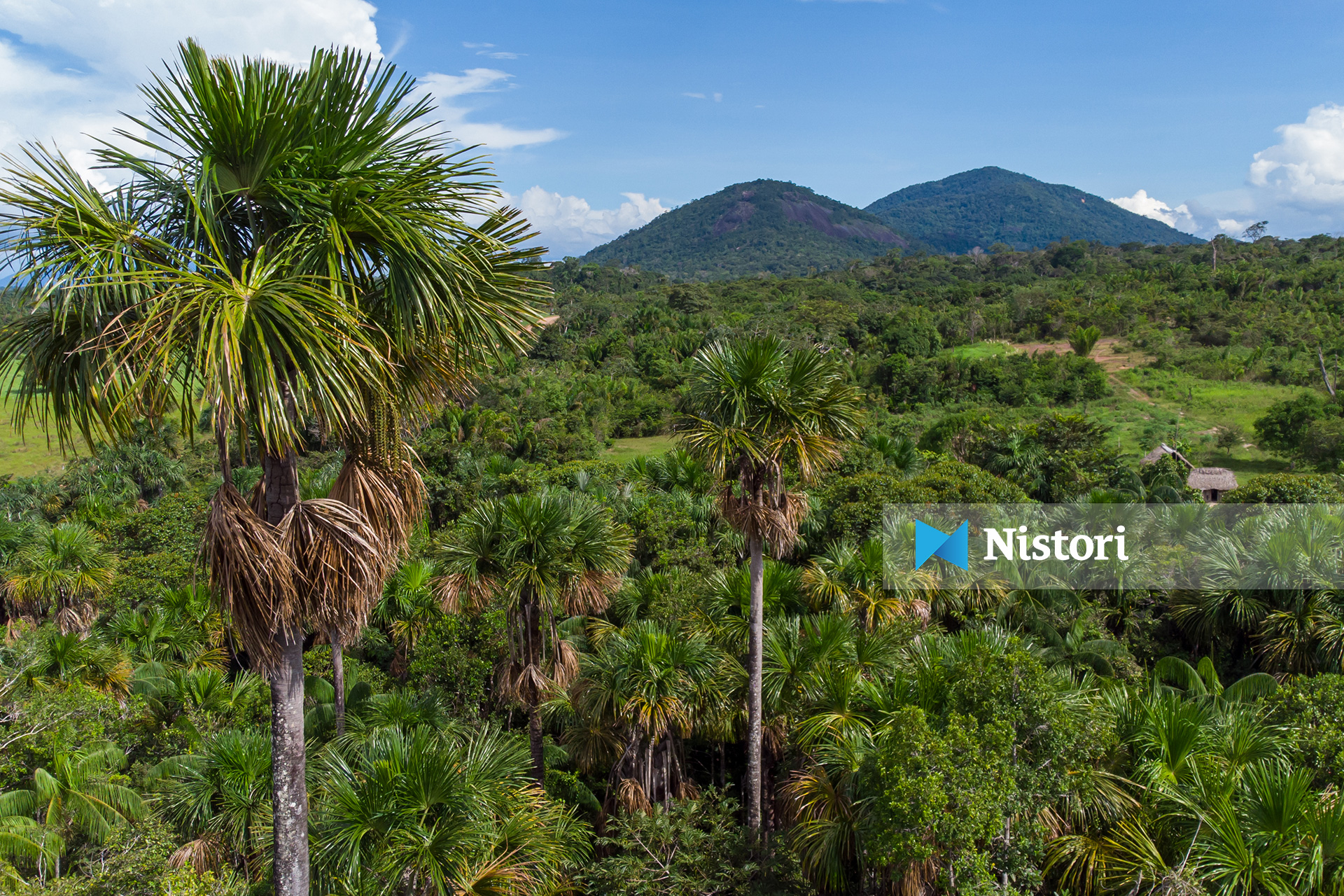 Nistori – Përtej asaj që thuhet!