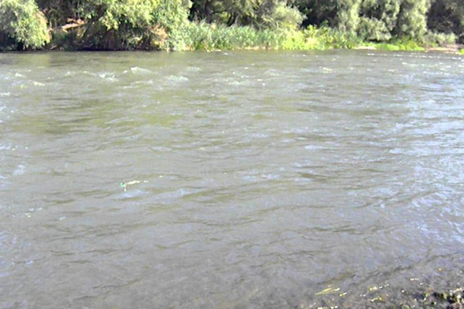 Përqendrimi i plumbit në ujin e lumit Kriva Reka është rritur për 10 ...