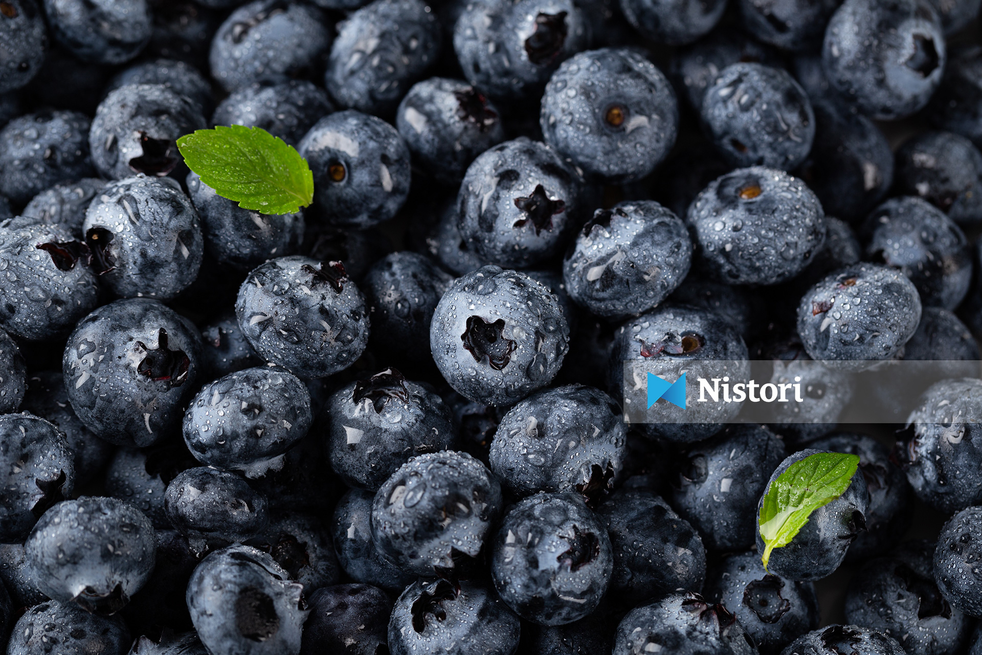 Vlerat e Boronicave – Nistori