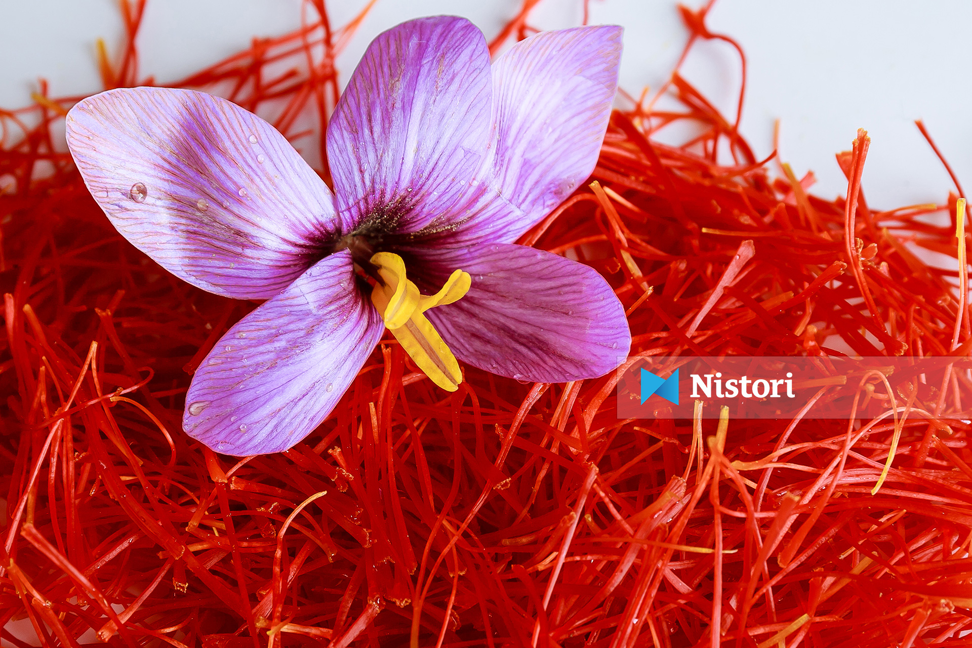 Turmerik apo Shafran – Cila është diferenca mes tyre? – Nistori