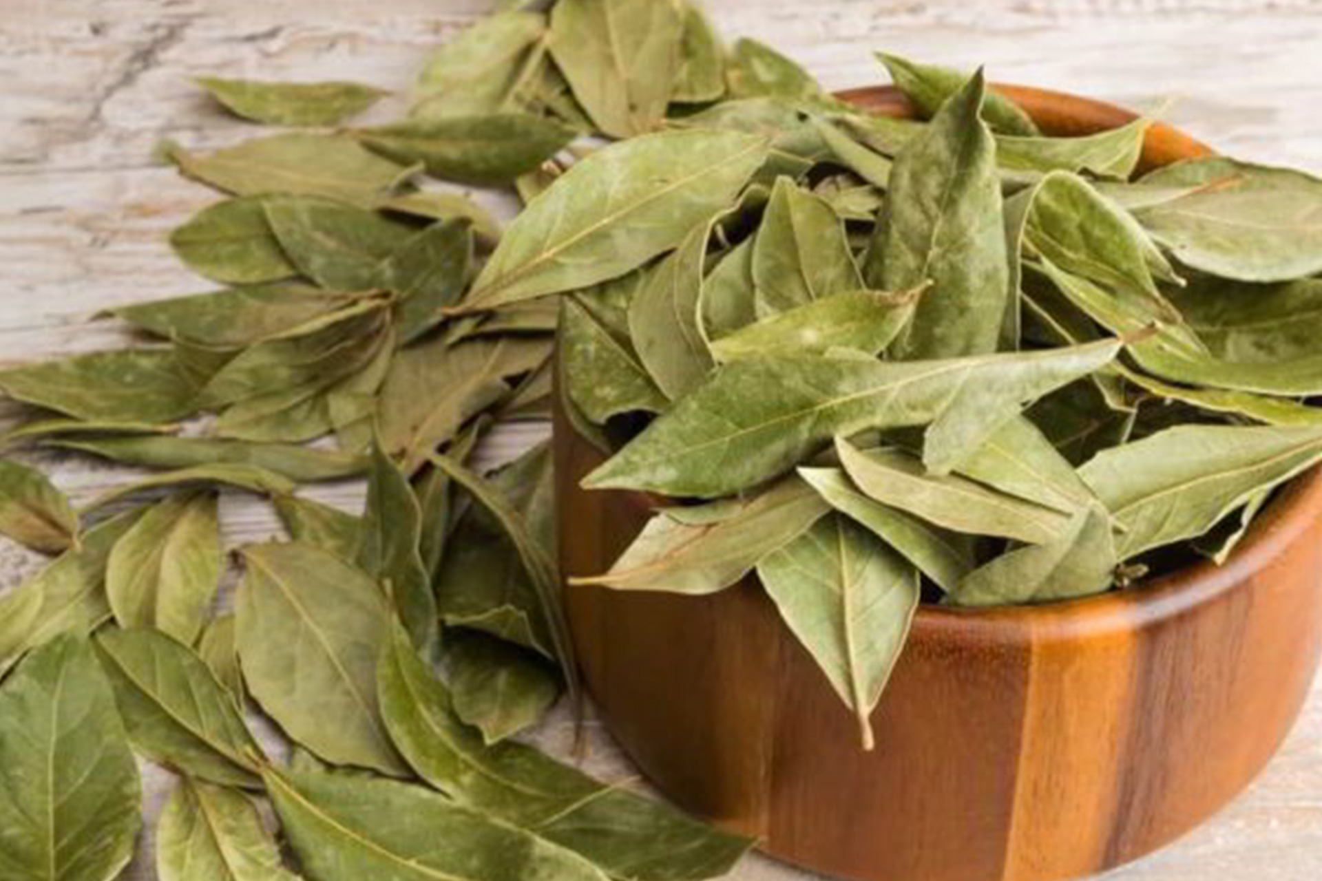 Avulli i Dafinës për fytin, kollën dhe rrugët e frymëmarrjes – Nistori