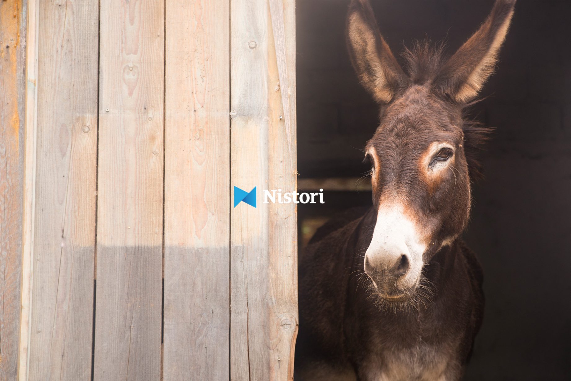 GOMARI I BABATASIT (METAMORFOZA) – Nistori