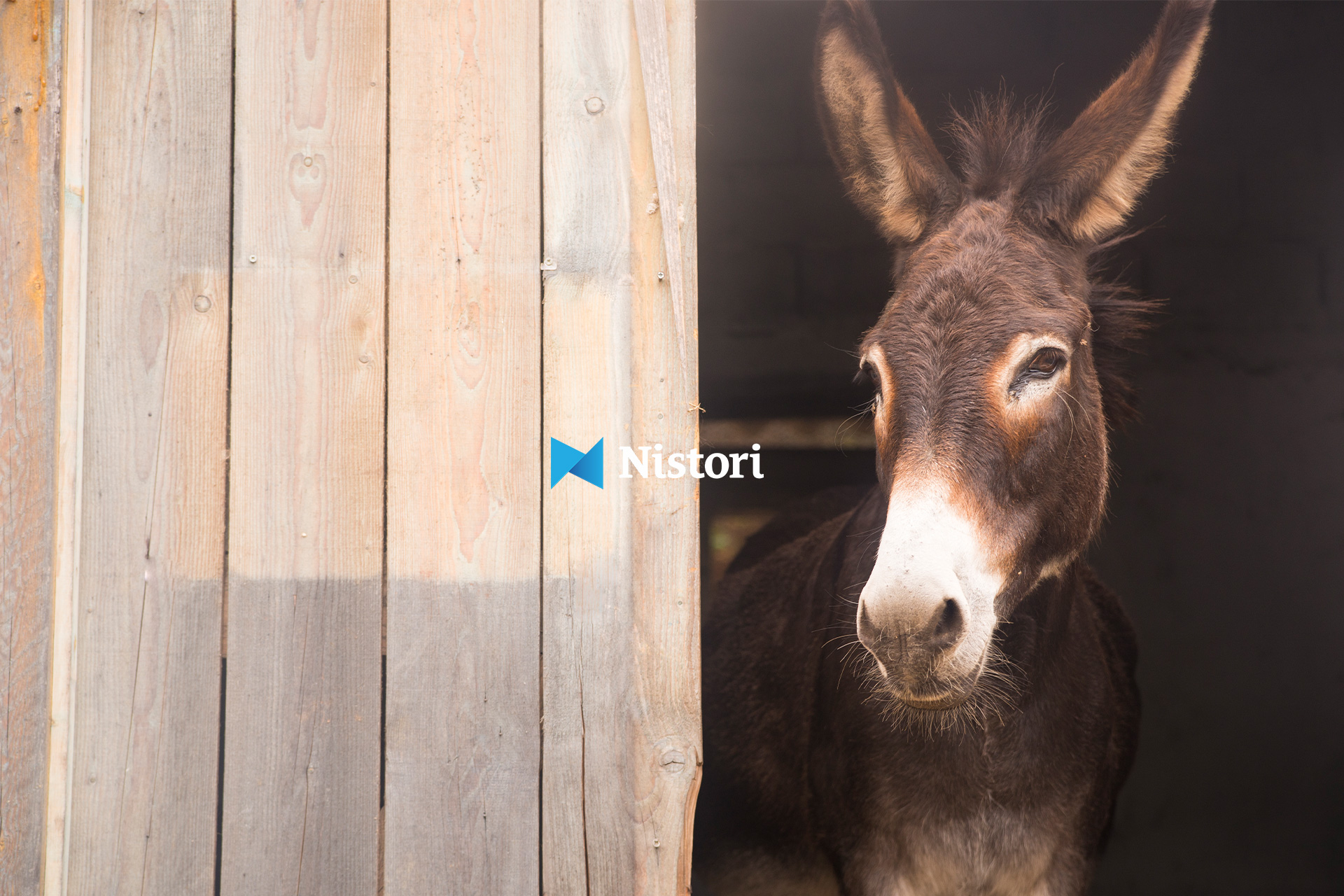 GOMARI I BABATASIT (METAMORFOZA) – Nistori