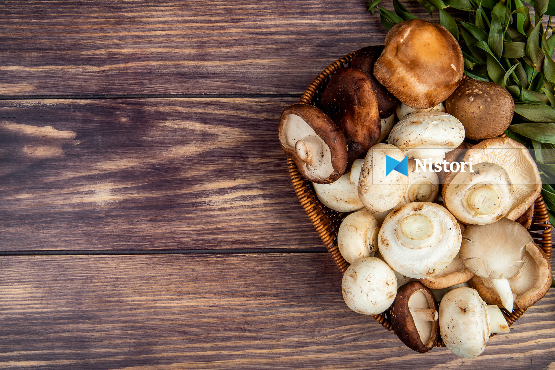 Kërpudhat – Ushqimi më i mirë që përmban vitaminë D – Nistori