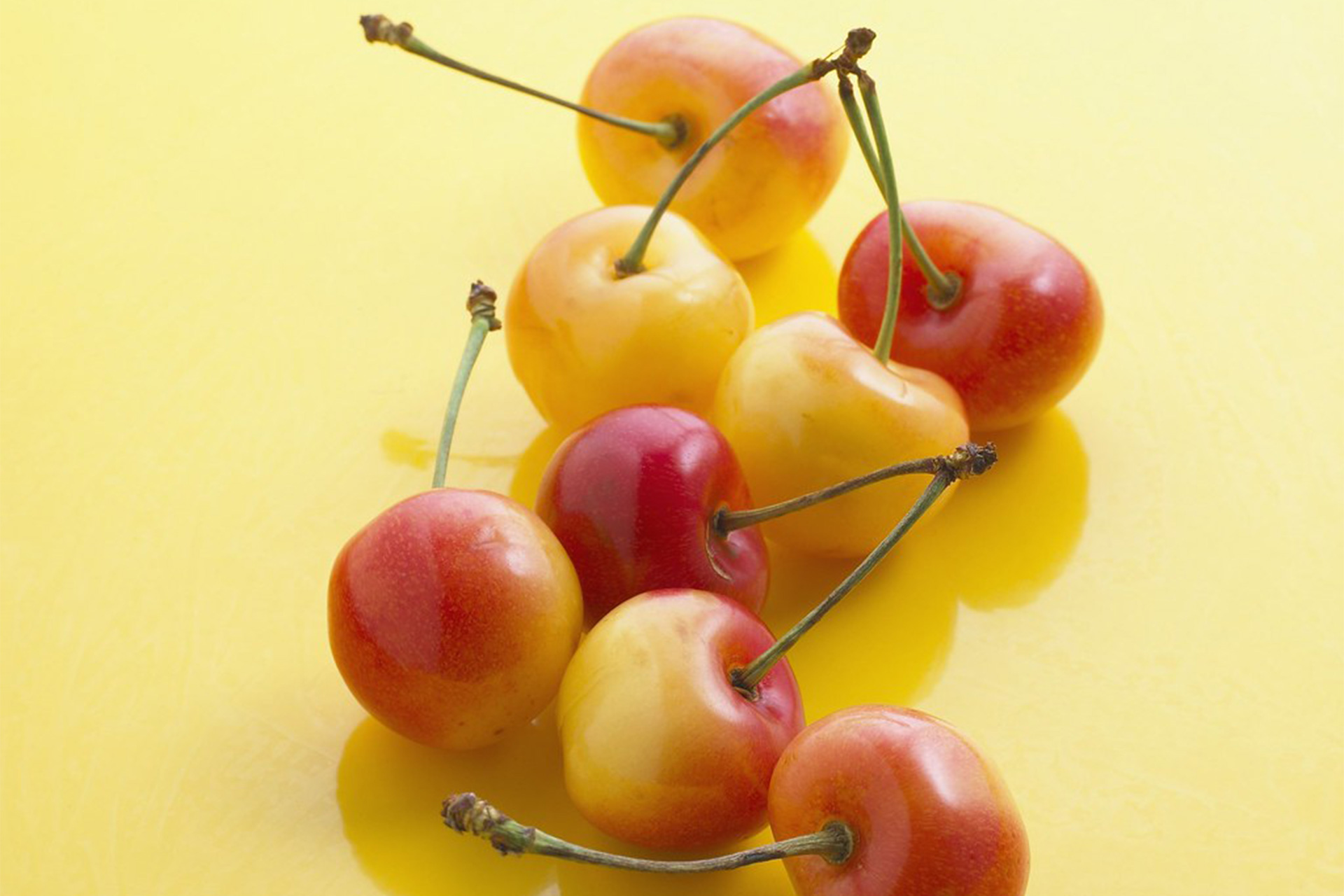 Qershitë e arta të Shqipërisë – Uniket e ëmbla në treg – Nistori