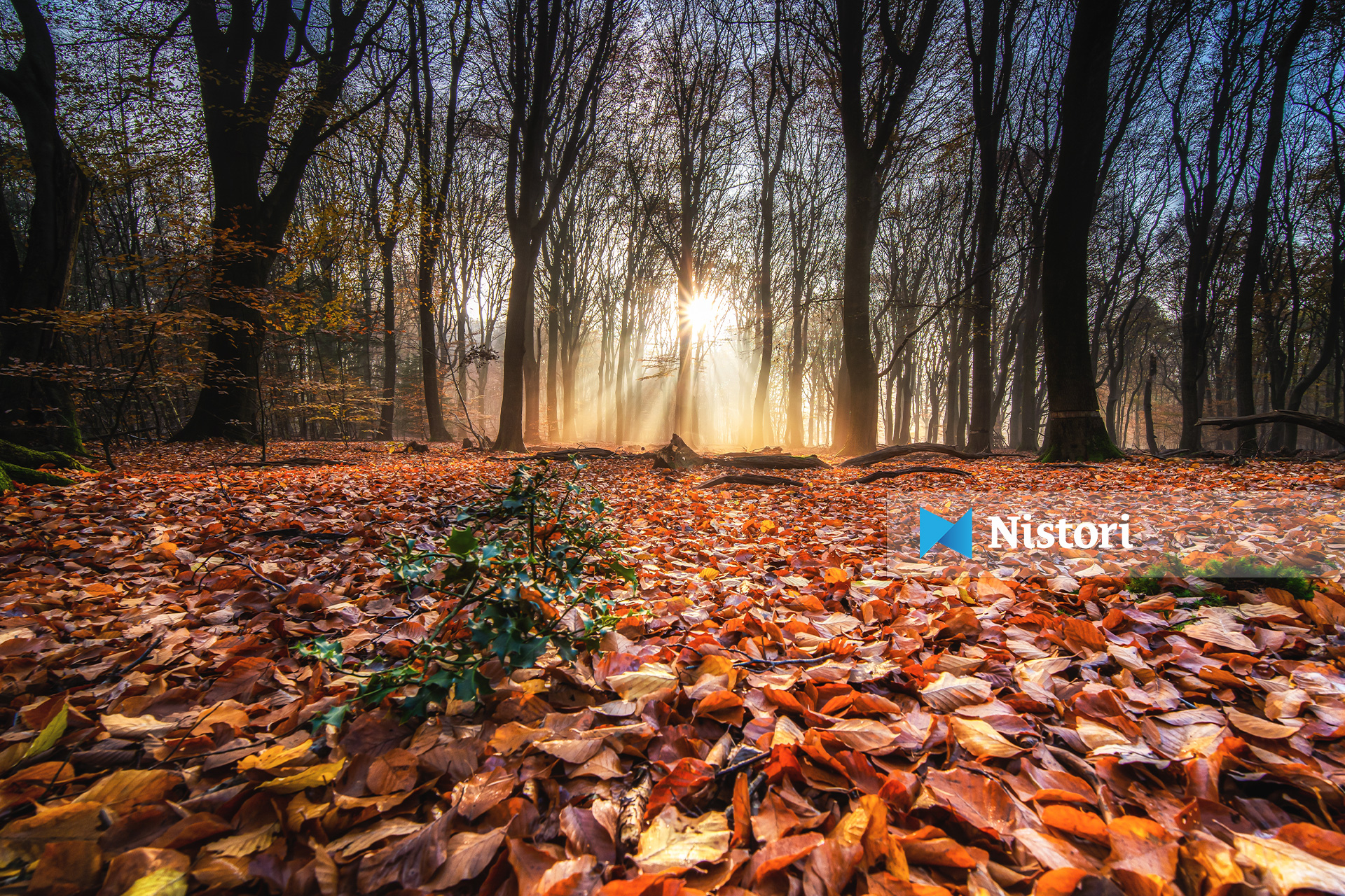 15 vende ku vjeshta duket vërtetë shumë bukur – Nistori