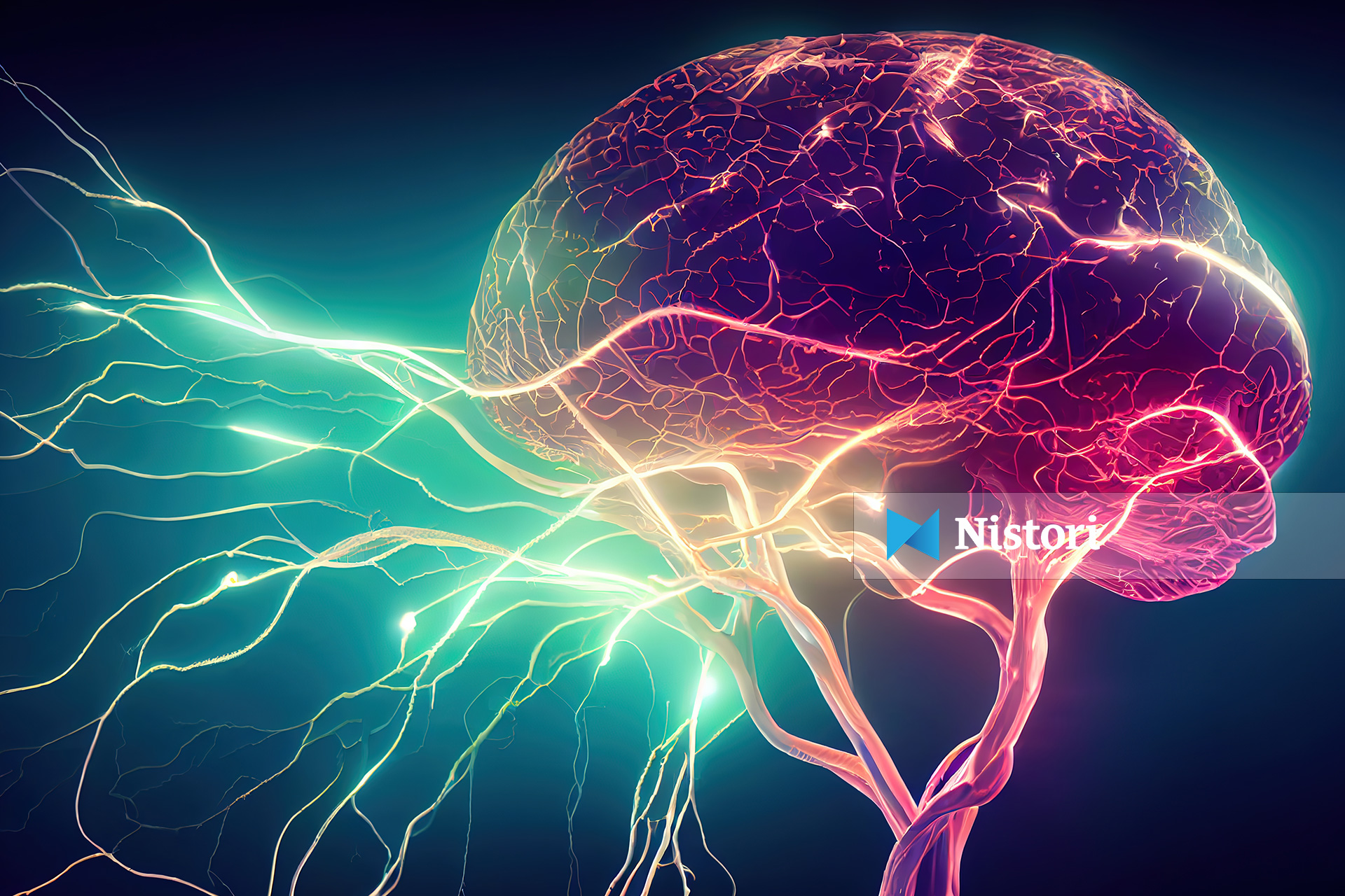 Mësoni si truri pengon përpjekjet tuaja për dobësim – Nistori