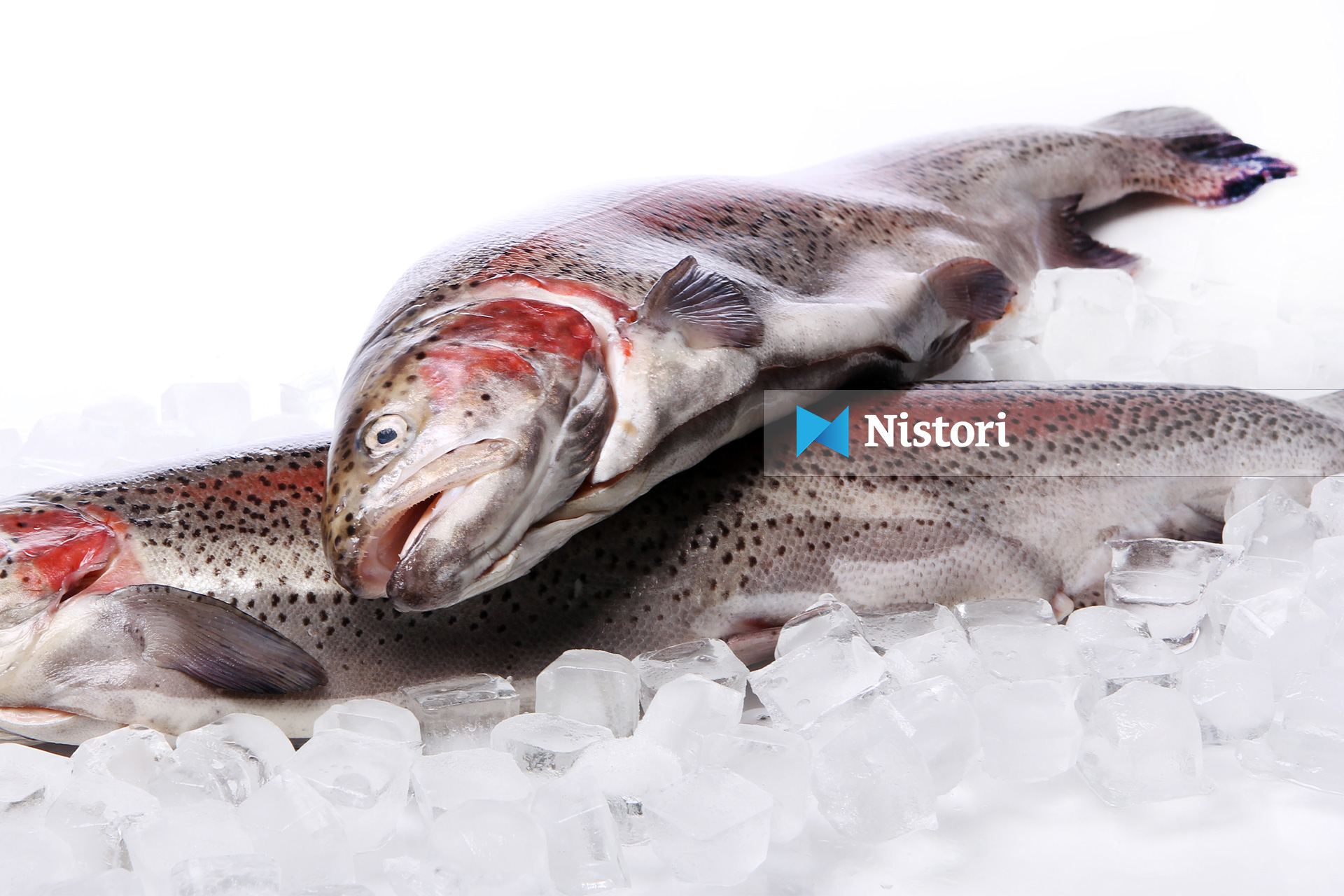 Peshkimi pa masë në të dy anët e liqenit të Ohrit, sfidë për mbijetesën ...