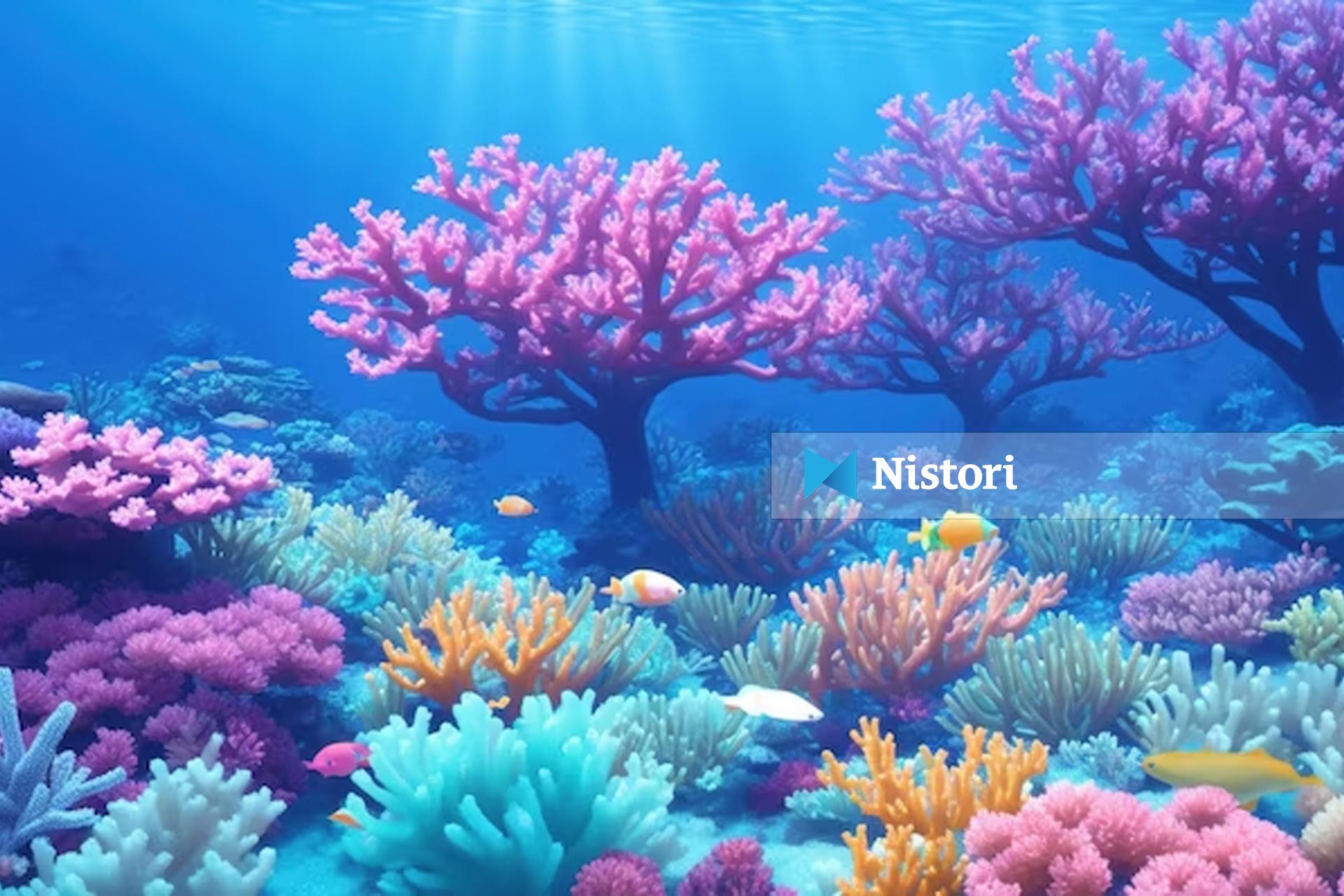 “Historike dhe e jashtëzakonshme!” – Nistori