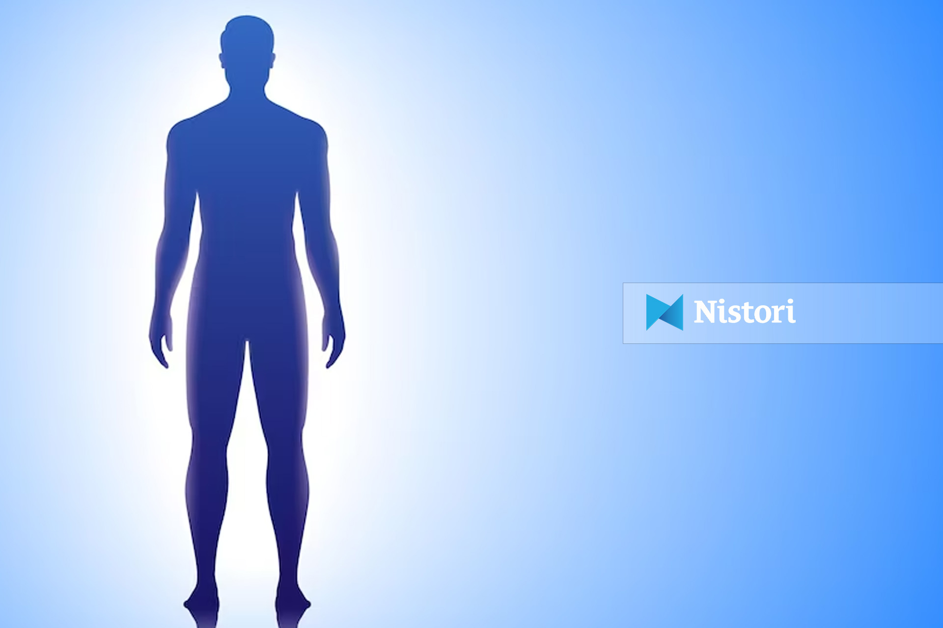 Shtatë organet e trupit pa të cilat mund të jetojmë – Nistori