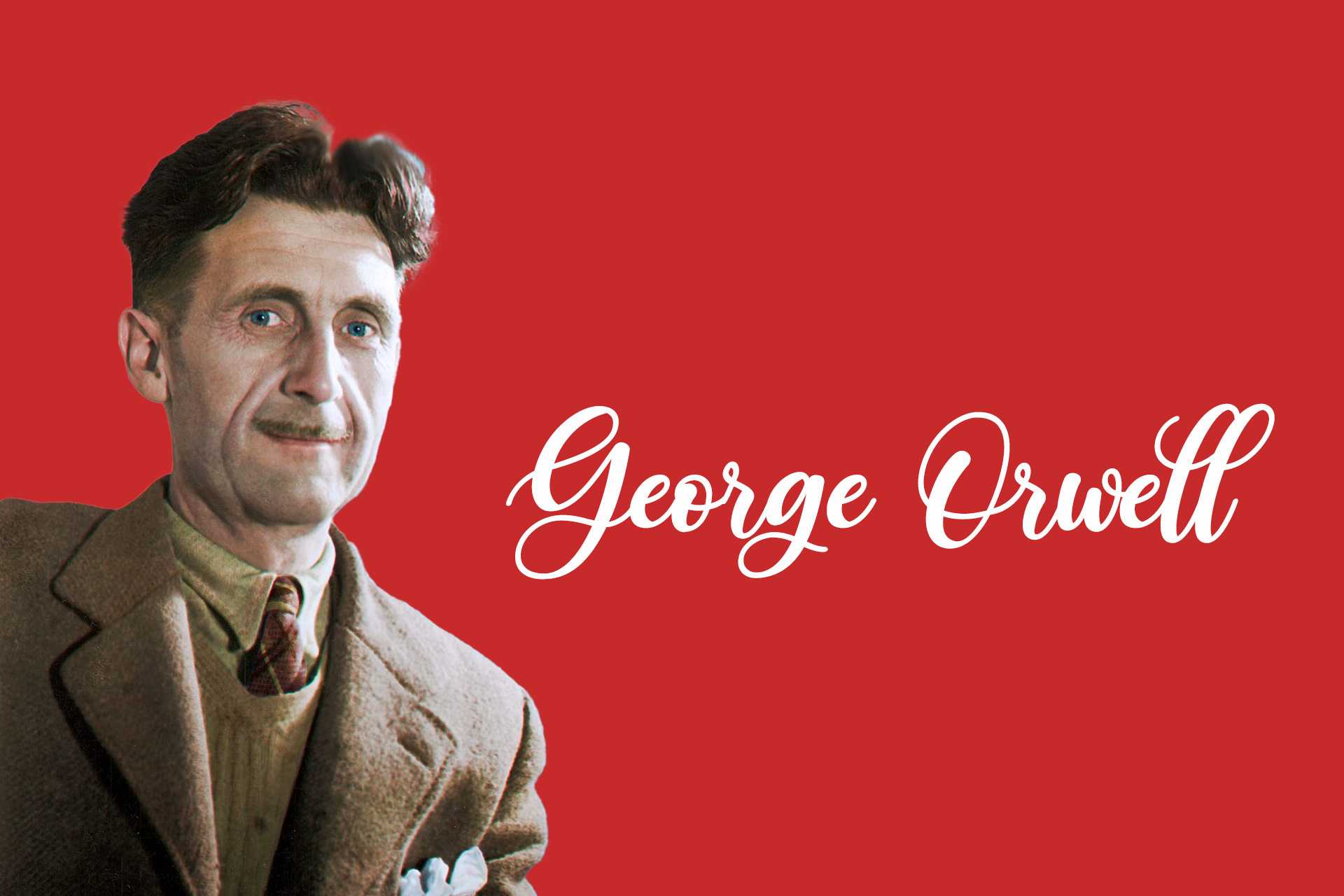 Disa mendime për një zhabë të zakonshme – Nistori