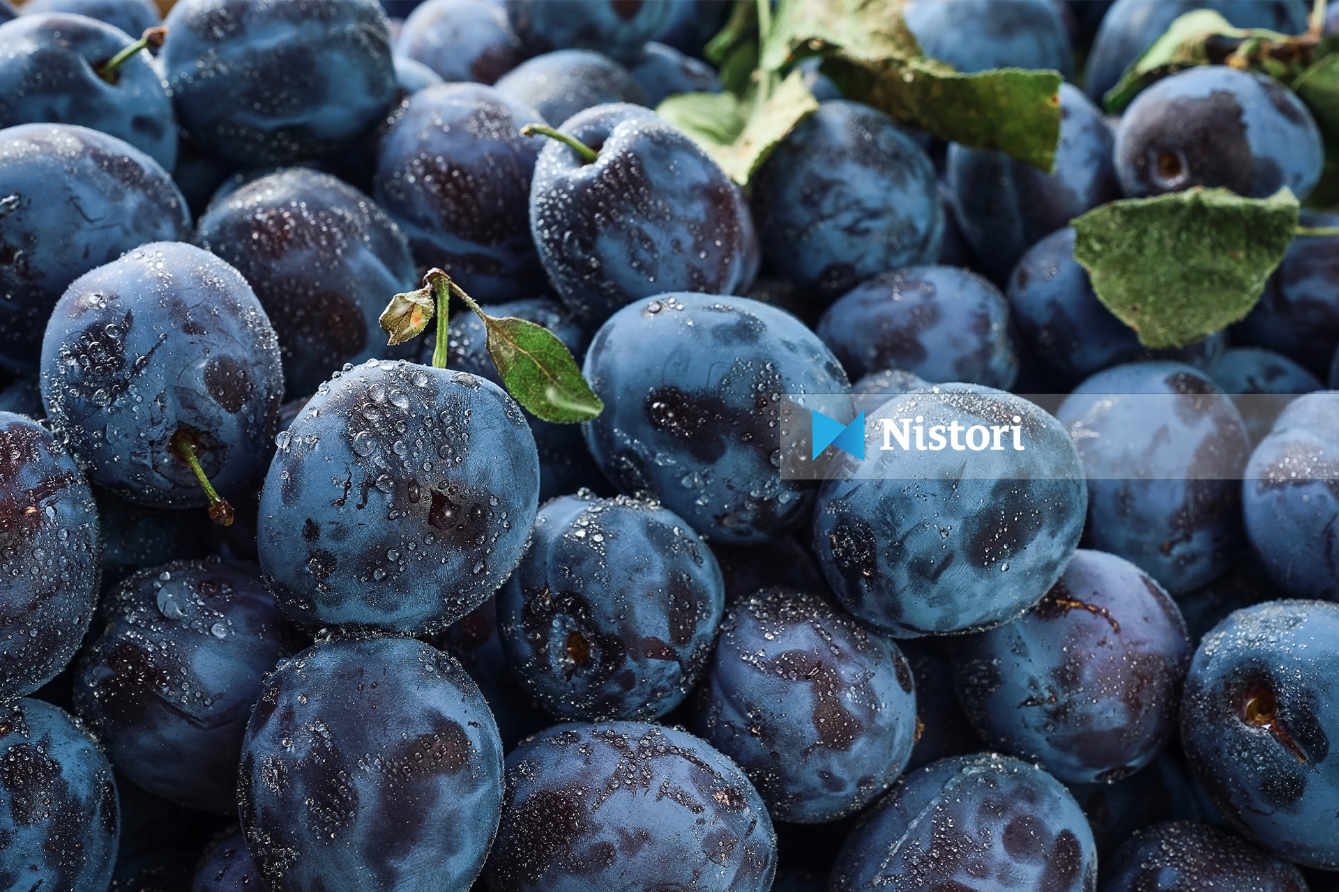 Kumbullat e stinës – fruti i pëlqyer i shqiptarëve – Nistori